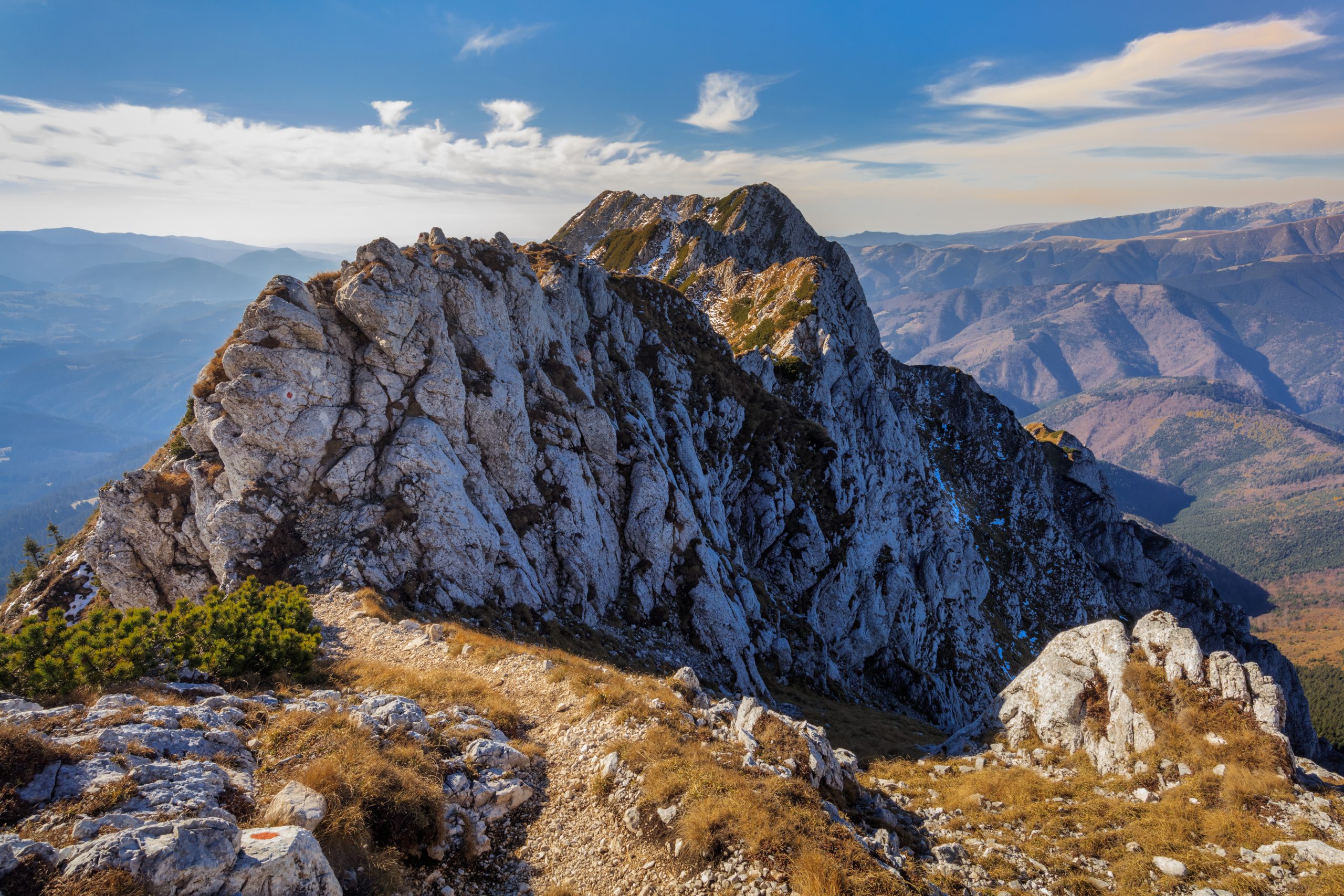 Îți știi cu adevărat țara?- partea I - Forza România