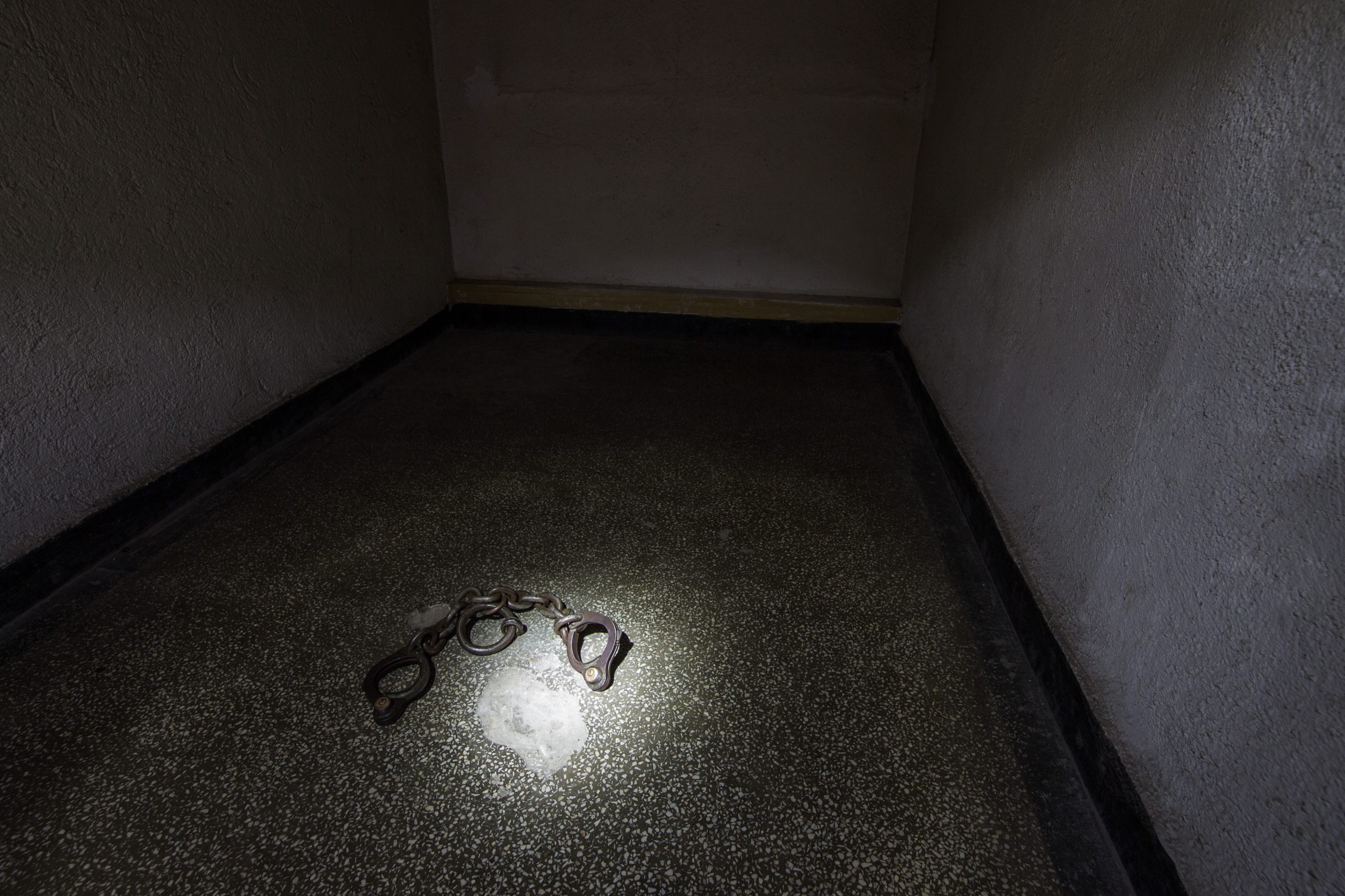 Mărturii din închisorile comuniste - Forza România